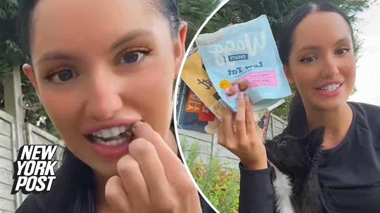 I Tried my Chi's Treats - and Here's What I Found